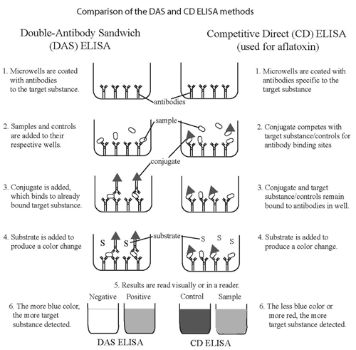 Chapter 10 Instructor Resources