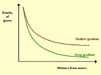 Steepness of dispersal gradient