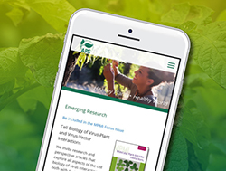 APS Launches Re-designed Website