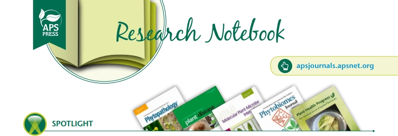 Research Notebook